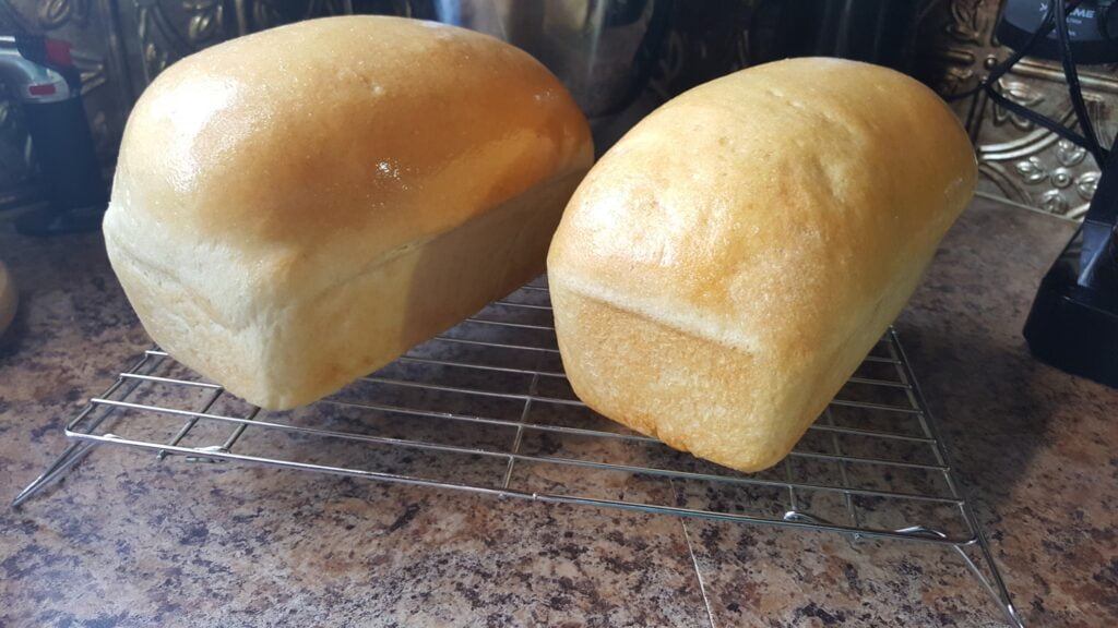 Golden Crust Masterpiece: Homemade Bread Recipe - Breads & Biscuits